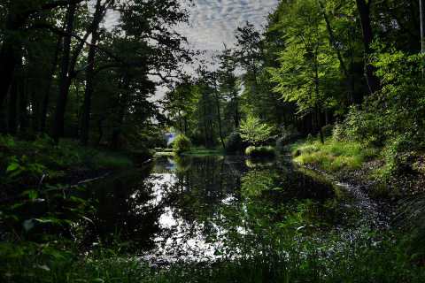 gablenz-online | Website der Gemeinde Gablenz